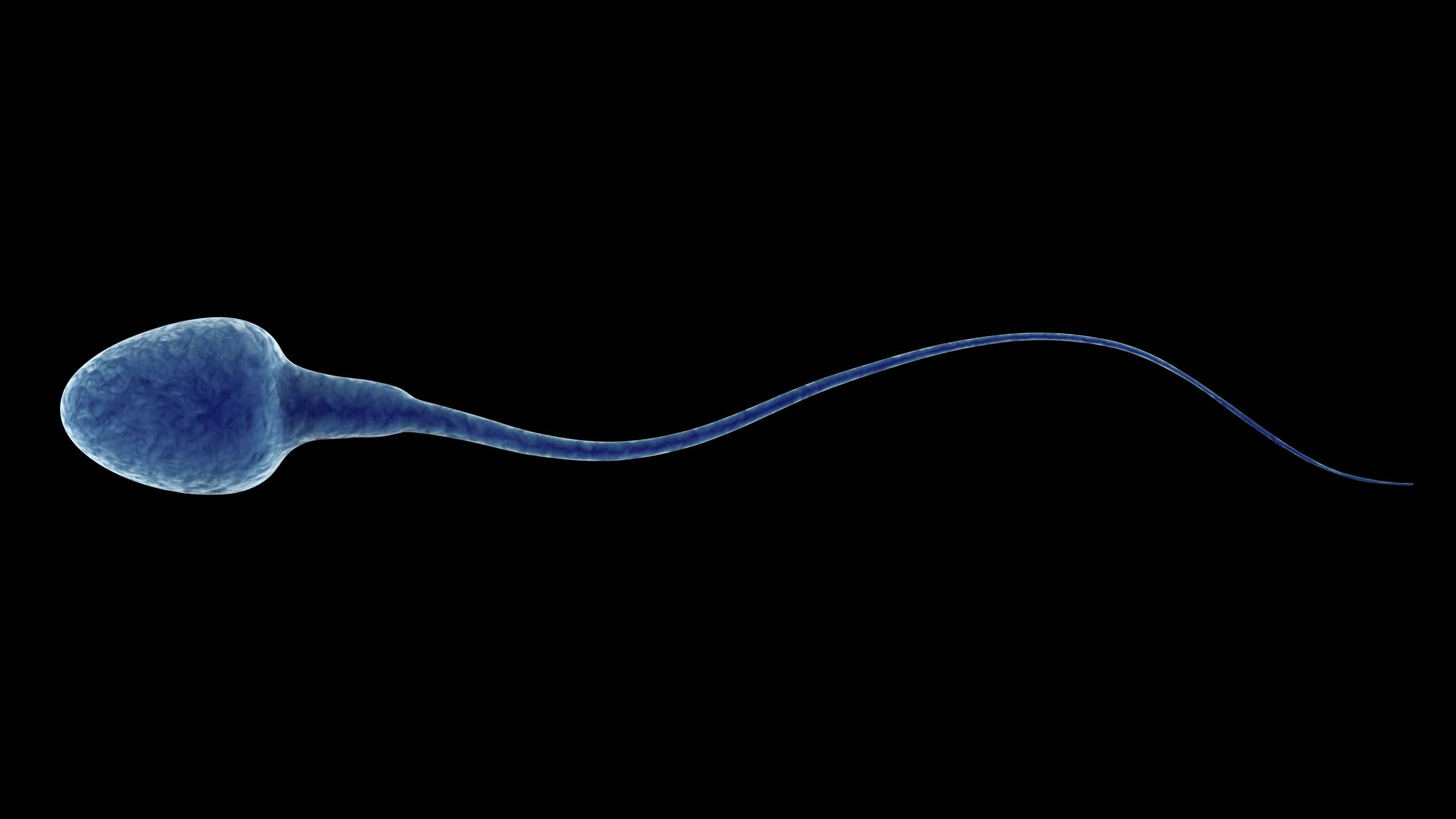 Intracytoplasmic Morphologically Selected Sperm Injection (IMSI ...